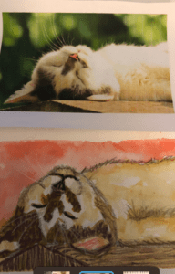 Drawing cats escapes me : The Artistic Divas World